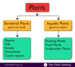 Adaptations in plants Class 4 Free Worksheet PDF