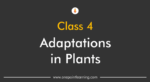Adaptations in plants Class 4 Free Worksheet PDF