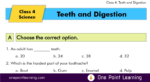 Human body : Digestive system worksheets class 4 PDF