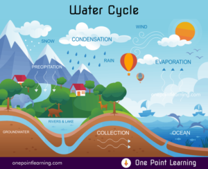 Printable Weather, air, and water worksheets for class 4 PDF