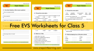 Free Worksheets Class 5 EVS Chapter 1 Super Senses PDF