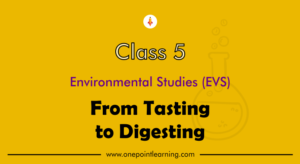 NCERT Class 5 EVS From Tasting to Digesting Worksheets PDF