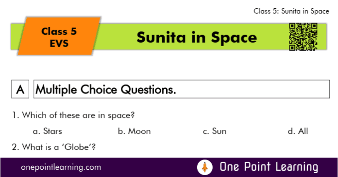 Class 5 EVS Chapter 11 Sunita in Space Worksheet PDF
