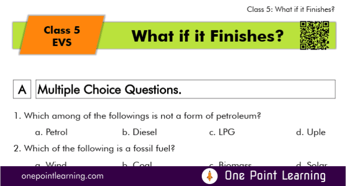 Class 5 EVS Chapter 12 What if it Finishes Worksheet PDF