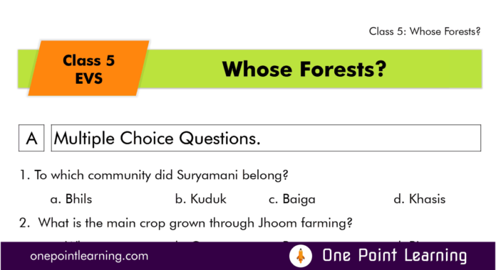 Class 5 EVS Chapter 20 Whose Forests Worksheet with Answers