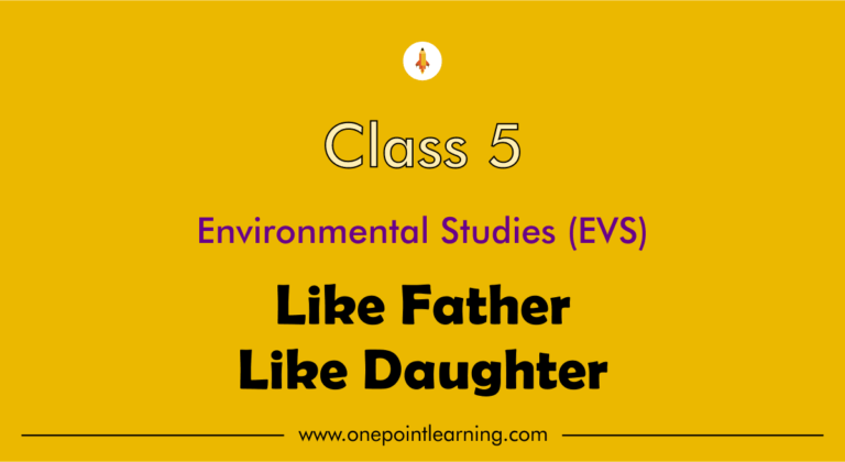 Class 5 EVS Chapter 20 Whose Forests Worksheet with Answers