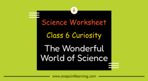 Class 6 Science chapter 1 The Wonderful World of Science PDF