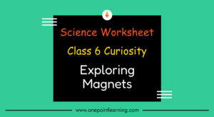Class 6 Science chapter 4 Exploring Magnets Worksheet PDF
