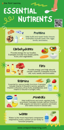 EVS Class 4 Chapter 5 Food for Health Worksheet PDF Download